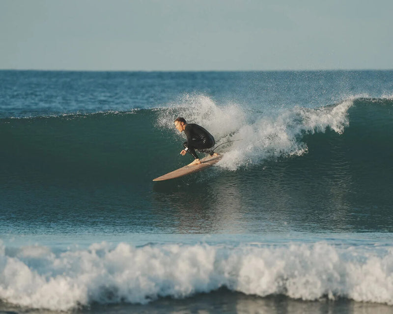 Electric Fin Buyer’s Guide 2026: How to Choose the Right Motor for Your ...
